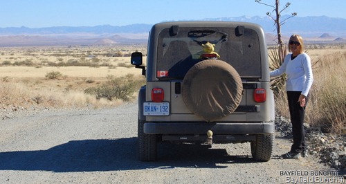 TRAVEL WITH THE BAYFIELD BUNCH:)): TODAY WE VISITED THE GRAPEVINE ...